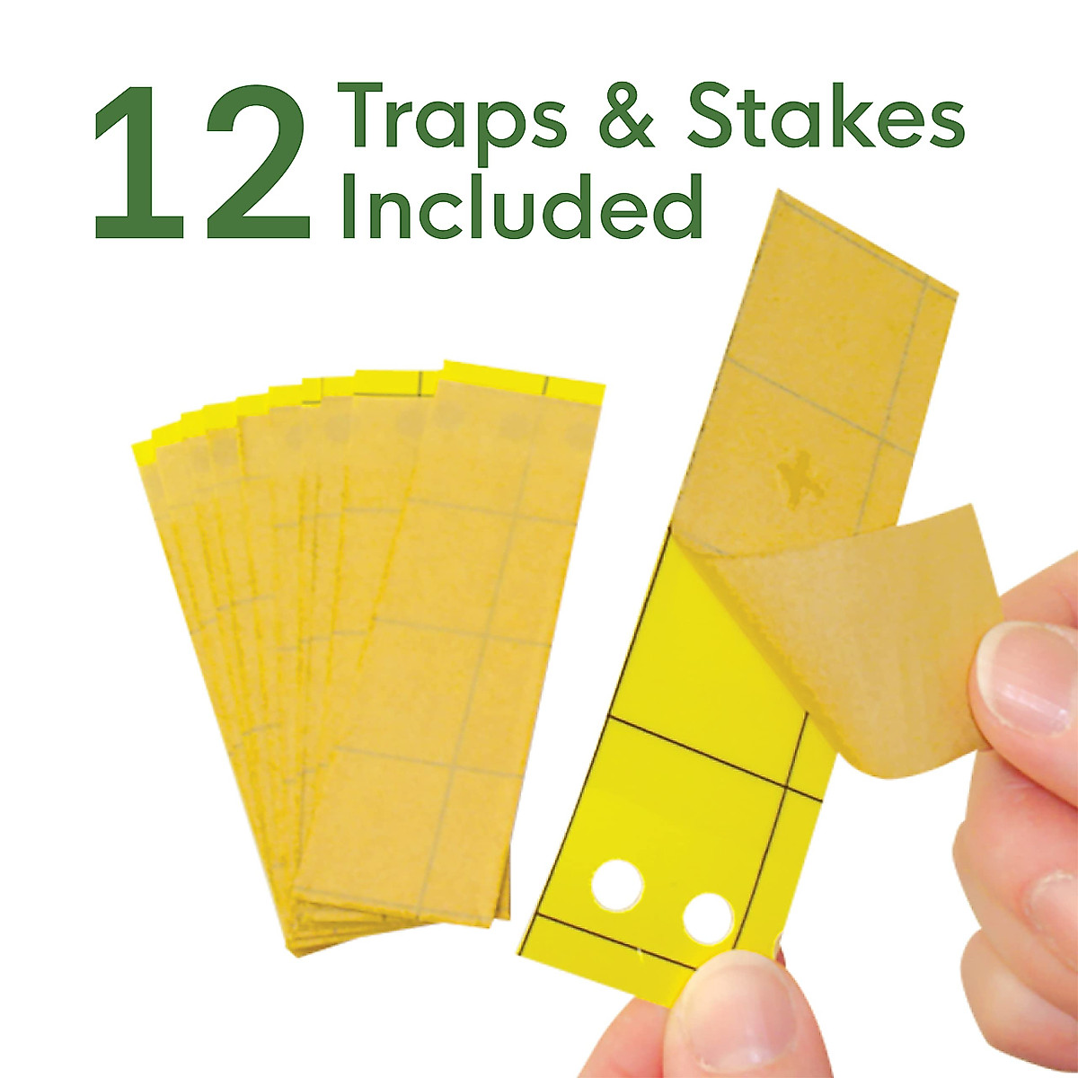 Enoz BioCare Gnat Stix for Fungus Gnats and Aphids, Pest Control for Plants and Greenhouses, Safe & Effective (12 Pack)