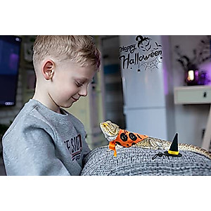 Vehomy 4Pcs Halloween Bearded Dragon Witch Costume Bearded Dragon Witch Hats Lizard Bandanas with Pumpkin Candy Pattern Lizard Wizard Hat Lizard Pumpkin Scarf Outfit for Hamster Leopard Gecko