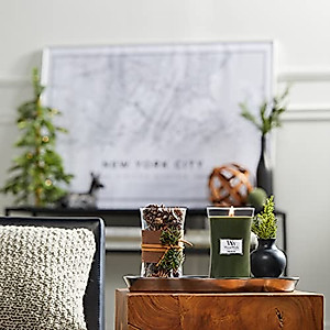 WoodWick 5038581054674 Candle Large Frasier Fir 93175E, one Size.