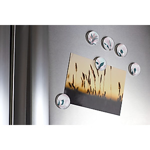 12 Pack Multicolor Plant Fridge Magnet Set, Strong Refrigerator Magnets for Whiteboard, Cute Magnets for Lockers, Neodymium Magnet Backing