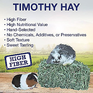 Grandpa's Best Timothy Hay Mini Bale, 10 Lbs (Packaging may vary),Brown