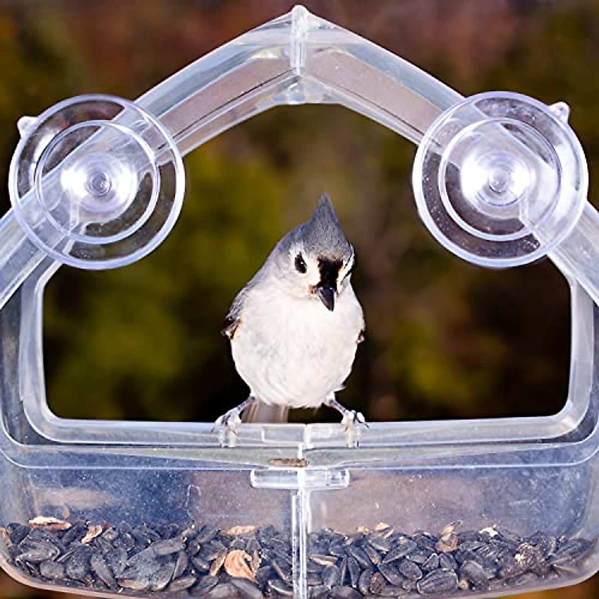 ETwinCoo 24 Pack All-Purpose Suction Cups Hooks Combo Set of Strongest Window Suction Cups with Hooks (4 Large, 10 Medium, 10 Small)