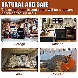 SEEKBIT 10 Pack Squirrel Repellent | Chipmunk Rodent Mice Repellent | Yard, Outdoor, Indoor, Attic, Garden Squirrels Deterrent | Car Engines Under Hood Animal Repeller | Waterproof Long Lasting, Bags