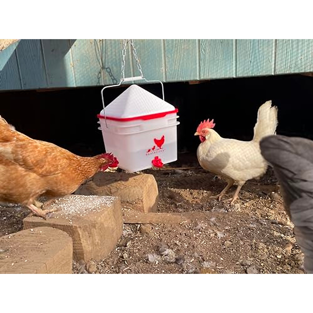RentACoop 2 Gallon Chicken BPA-Free Plastic Bucket Waterer Set with 4 Horizontal Nipples - Center Placement