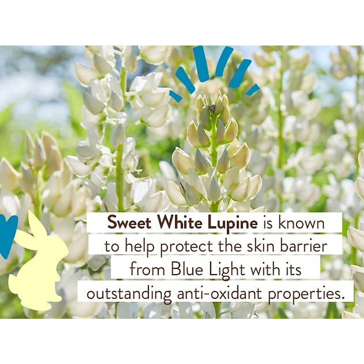 Babo Botanicals Daily Sheer Tinted Mineral Sunscreen Fluid SPF50 - Natural Zinc Oxide - Passion Fruit Oil - Golden-Hued Tint - Fragrance Free - Ultra-Lightweight - For Face - For all ages