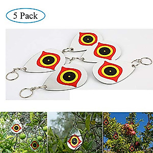 cainda Horrible Predator Eye to Scare Birds Away, Birds Deterrent Hanging Devices, Keep Birds Away from Your Barns Garden Windows Warehouse (5 Pack)
