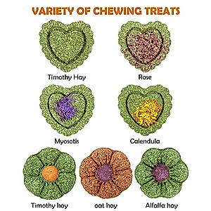 Sofier 14Pcs Timothy Hay Treats Rabbit Toys Bunny Toys Guinea Pig Toys Natural Chews for Teeth Handmade Rabbit Chews and Treats Chinchilla Rat Hamster Gerbil