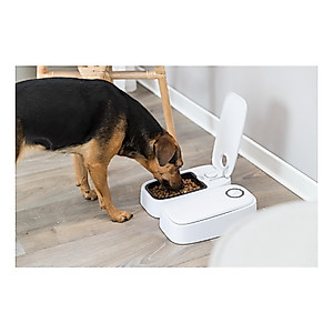 TRIXIE TX2 Automatic Food Dispenser, Dual Compartments, Dual Timer, 48 Hour Timer, Battery Operated, Gray with Black (24372)
