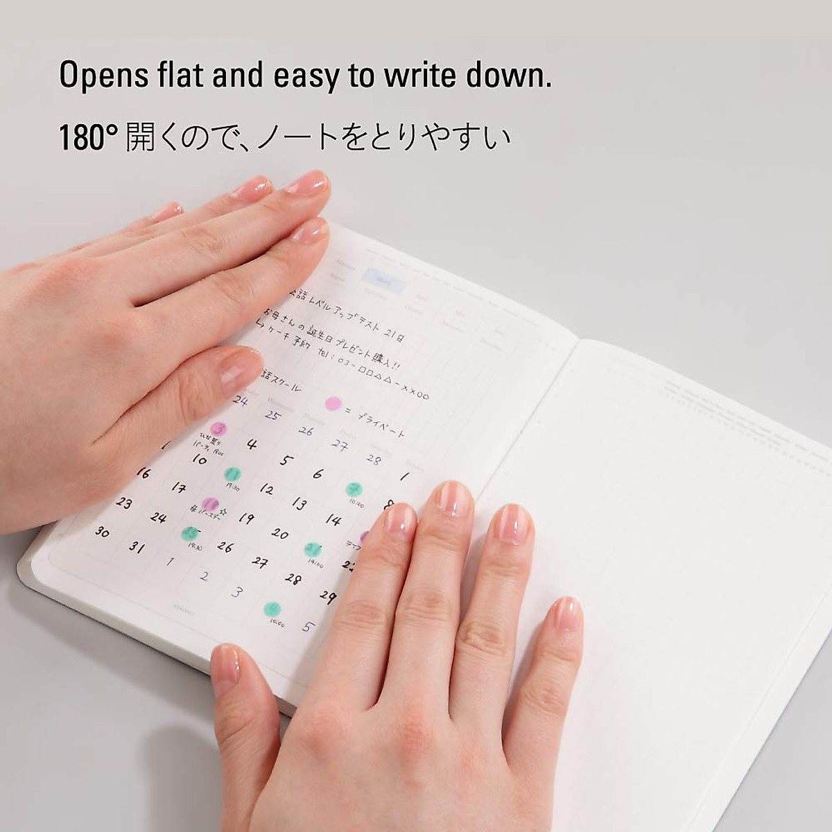 Nitoms STALOGY 365DaysNotebook B5