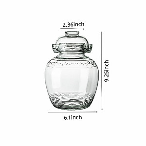 Qunine Glass Pickle Jar 2.5L Fermentation Jar Crock, Traditional Fermentation Jar Canning Jar Kimchi Containers with Water Seal Airlock Lid for Fermenting Pickles, Wine Brewing, Sauerkraut and