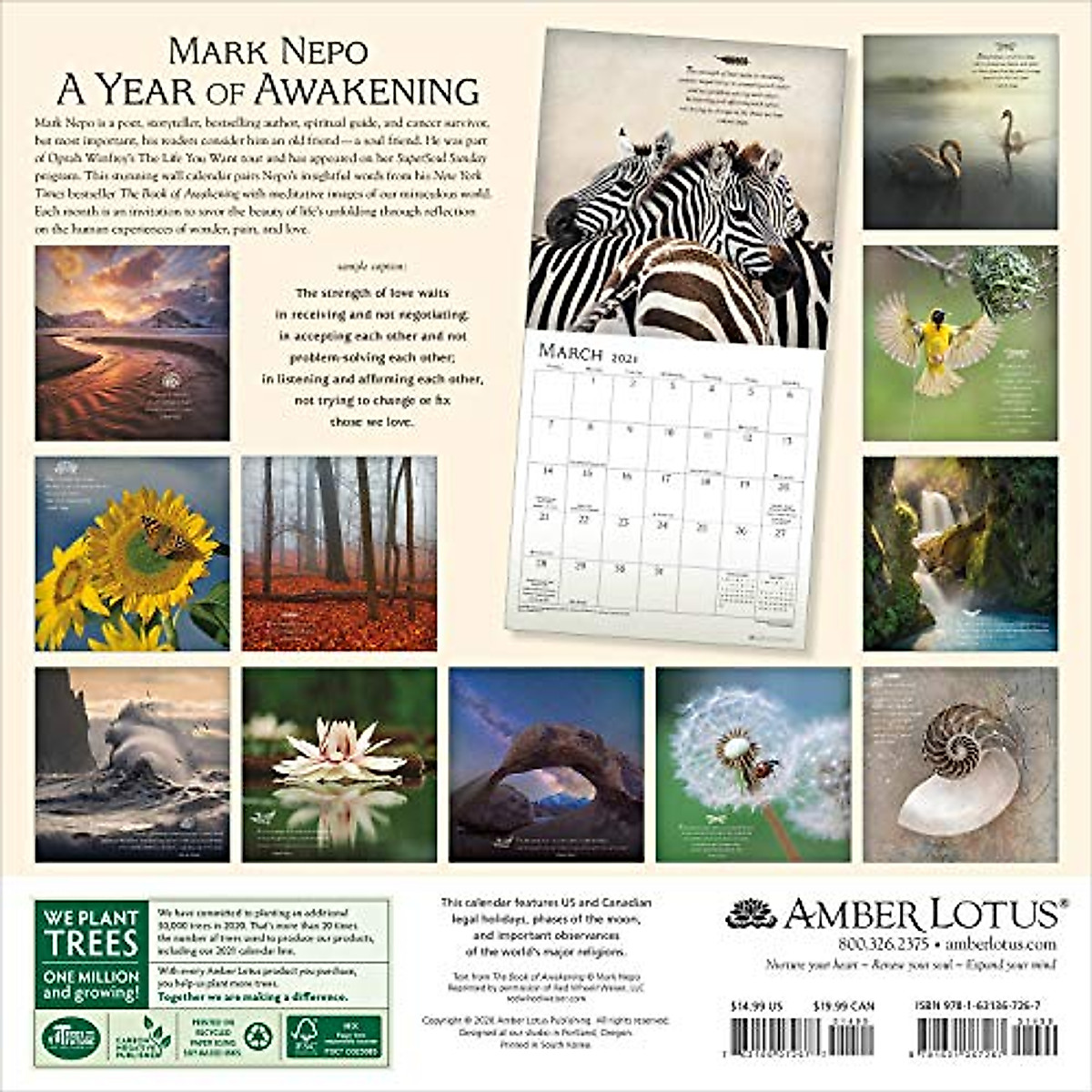 Mark Nepo 2021 Wall Calendar: A Year of Awakening