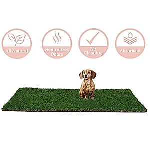 DoggieLawn Dog Potty - Real Grass - XLarge 24x48 inches