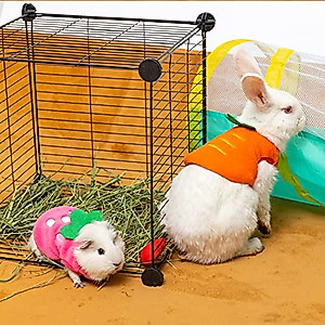 TUKOAW Guinea Pig Clothes - Cute Strawberry & Carrots Pet Colthes for Guinea Pig Rabbit Ferret Rat Chinchilla Kitten MiniDogs - Soft Warm Guinea Pig Costume for Winter Fall