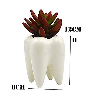 4.7" Tooth Planter Pot/Bonsai Pot/Succulent Planter/Pencil Cup/Toorhbrush Holder 3D Shaped Multipurpose