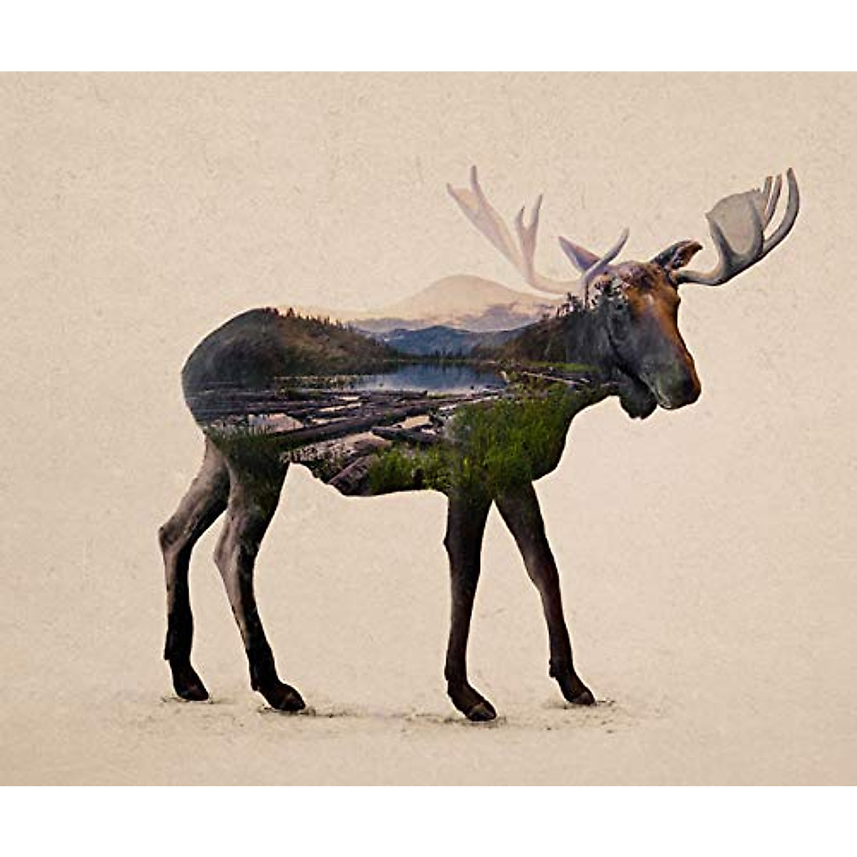 Rustic Double Exposure Bull Moose and Bear Landscape Set; Cabin Lodge Decor; One 11x14 and One 14x11in Gold Trim Brown Framed Poster Print