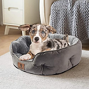 Asvin Small Dog Bed for Small Dogs, Cat Beds for Indoor Cats, Pet Bed for Puppy and Kitty, Extra Soft & Machine Washable with Anti-Slip & Water-Resistant Oxford Bottom, Grey, 20 inches