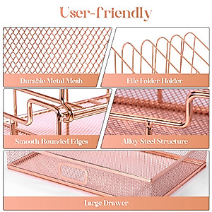 Rose Gold Desk Organizers and Accessories with 5 Vertical File Folder Holders & Sliding Drawer, Cute Office Supplies for Women, Desk File Organizer, Binder Holder for Desk, Binder Holder for Desk