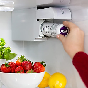 KitchenAid Refrigerator Ice and Water Filter 1 - KAD1RXD1, Single-Pack, Purple