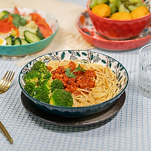 Pasta Bowls,Serving Dinner Bowls,Set of 4,26 Ounce Ceramic Bowls for Salad Fruit Dessert Appetizer and Kitchen,Cute Cartoon Bowls Microwave & Dishwasher Safe