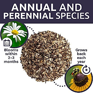 Sweet Yards Seed Co. Cut Flower Garden Seeds - Extra Large 1 Ounce Packet - Over 7,500 Fresh Open Pollinated Non-GMO Wildflower Seeds - Long Lasting Annuals and Perennials with Bright Colors