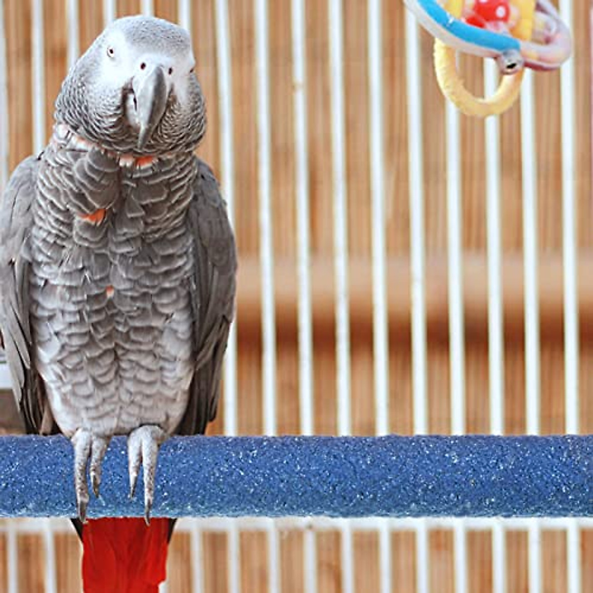 5pcs Grinding Budgies Wooden Parakeets Hanging Stand Conure Food Accessories Cage Cockatiel Balance Bird Climbing Standing for Parakeet Bowl Birdcage Toy: Bite Cockatiels Natural