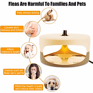 Flea Trap, Indoor Sticky Flea Trap with 2 Glue Discs Odorless Non-Toxic Natural Flea Killer Trap Pad Bed Bug Trap Light Bulb Pest Control for Home House Inside, Safe for Children Pet Dog Cat(2 Pack)