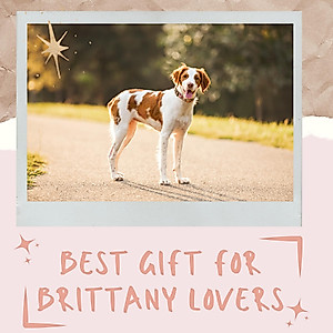 Onebttl Brittany Spaniel Gifts for Brittany Mom, Brittany Dog Design, Dog Mom Gifts, 20oz Stainless Steel Insulated Skinny Tumbler with Lid & Straw, Rose Gold - Brittany Mom