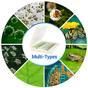 100 Prepared Microscope Slides with Specimens for Kids Adults - Bacterium, Fungus, Human Tissues, Mitosis, Plants, Insects, Animals Cells Samples for Biological Science Lab, School Students