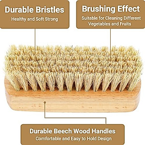 SEPGLITTER Vegetable Brush,Veggie Wash Brushes Potato Brush Cleaning Brush for Potato Carrot Cucumber and Fruits Vegetable Brush Scrubber for Food