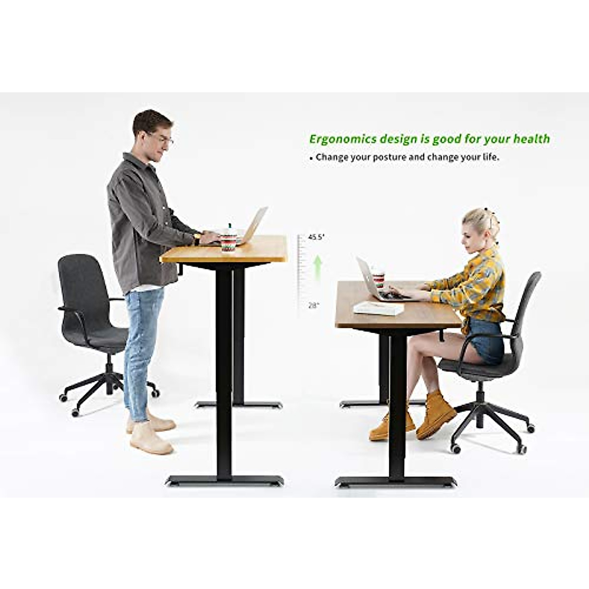 BANTI Dual Motor Adjustable Height Standing Desk, Electric Sit Stand Desk with Screen Panel, 48 x 24 Inches Stand up Desk, Home Office Desk with Rubberwood Top and Black Frame B-SDE-SP48BO-D