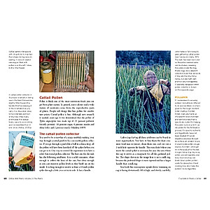 Edible Wild Plants, Volume 2: Wild Foods from Foraging to Feasting (Wild Food Adventure)