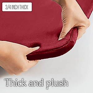 lalaLOOM Thick Memory Foam Bath Rugs, Soft Velvet is Absorbent, Bathroom Mats, Durable Dots on Underside, Machine Washable Bathmat, Carpet Rug, Plush Room Décor for Shower Floor, 24x17, Wine