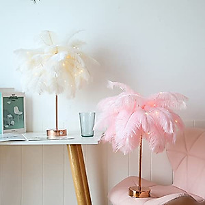 Naisicore Feathers Table Lamps, 18.9inch Ostrich Feather Night Light, USB/Battery Powered Bedside Lamps, Desktop Atmosphere Lights Gift for Mother, Girlfriend Wedding Decoration (Pink)