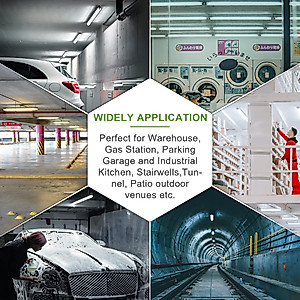 LED Flying Direct 4FT LED Vapor Tight Lights, 40W-50W-60W Selectable, 3000K-4000K-5000K Tunable, IP66 Waterproof LED Shop Light for t for Car Wash, Garage, Walk-in Freezer, 100-277V ETL Listed