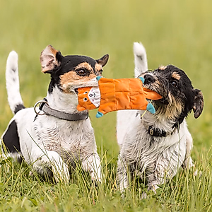 No Stuffing Dog Toys,5 Pack Dog Squeaky Toys Crinkle Plush Dog Toys Set for Puppy Teething, Durable Dog Chew Toys for Small Medium Dog,Cute Holiday Pet Toys for Playing Training Reducing Boredom