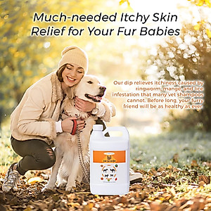 Healthy Paw Life - Lime Sulfur Dip - Pet Care for Itchy and Dry Skin - Xtra Strength Formula - Safe Solution for Dog, Cat, Puppy, Kitten, Horse (1 Gallon)