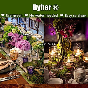Byher 92926 Preserved Forest Moss, Fresh Green (8OZ)