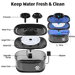 Kastty 300oz/9L Dog Water Fountain Extra Large Automatic Pet Water Dispenser with 3 Flow Modes& XL Larger Filter& Smart LED Pump, BPA-Free, Quiet, Perfect for Large Dogs and Multiple Pet Families