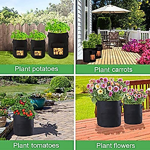 Dchant&Wiiiisen Potato Grow Bags 3 Pack 7 Gallon Plant Grow Bag with Window Flap Breathable Planting and Two Handles Thickened Non-Woven Fabric Gardening Plant Containers for Vegetables & Flowers