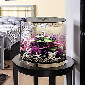 biOrb 48361 Coral Rock Ornament, Green/Purple