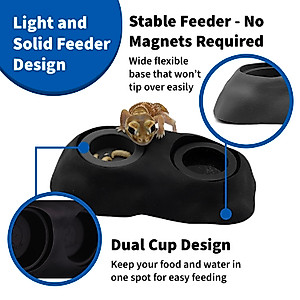Pangea Ultimate Eco Dish, Crested Gecko Food and Water Bowl for Terrestrial Lizards, Durable Silicone Feeding Accessory for Reptile Terrariums 3.125in x 5.5in (Grey Marble)