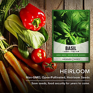 Basil Seeds for Planting (Large Leaf) Heirloom Non-GMO Herb Plant Seeds for Home Herb Garden Indoors, Outdoors, and Hydroponics by Gardeners Basics