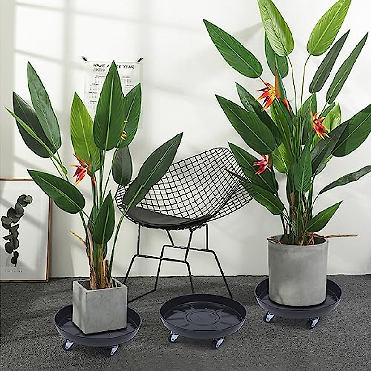 LYNICESHOP Plant Caddy with Wheels, 3Pack Plastic Plant Pallet Caddy Stand Planter Mover Flower Pot Dolly Caster Heavy Duty Plant Stand with Universal Wheels Round Pot Trolley for Indoor Outdoor