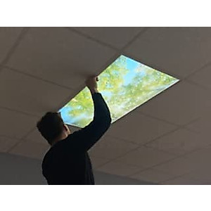 ShadeMAGIC - 4 Pack - Fluorescent Light Covers - 2x4 Film Insert for Ceiling Light Diffuser Panels - Tree Design - Classrooms and Offices - Decorative Lighting