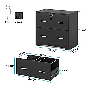 LITTLE TREE Lateral File Cabinet with 2 Drawers, 31.5 Inches Large Filing Cabinet for Hanging Letter/Legal/F4/A4 Size Files with Lock, Home Office, Black