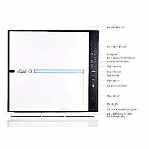 RabbitAir MinusA2 Ultra Quiet HEPA Air Purifier - Stylish, Efficient and Energy Star (SPA-780A, White, Pet Allergy)