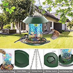 Solar Bird Feeder for Outside Hanging or Wall Mount, Waterproof Squirrel Proof Wild Birdfeeder Solar Powered Led Garden Backyard Lantern Decoration Light, Gifts for Bird Lovers