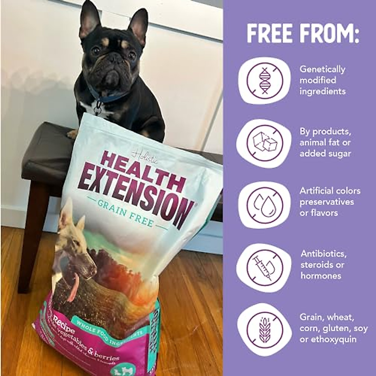 Health Extension Dry Dog Food, Natural with Added Vitamins & Minerals, 1 lb / 0.45 kg, Grain Free, Salmon & Sweet Potato Recipe with Vegetables & Berries for All Puppies