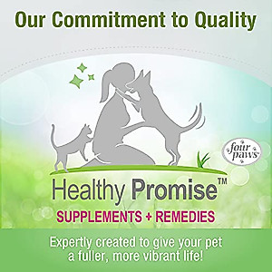 Four Paws Healthy Promise Easy Feeder Pet Feeding Syringe
