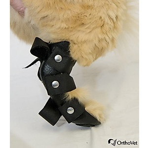 OrthoVet Standard Rear Splint for Dogs and Cats with Arthritis or Injuries (XXS)